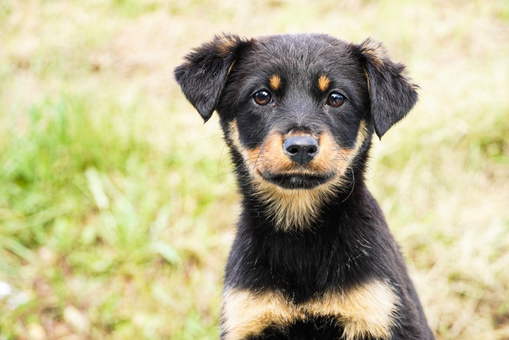 Ficha de Namaste - Engrescats de les Terres de l'Ebre