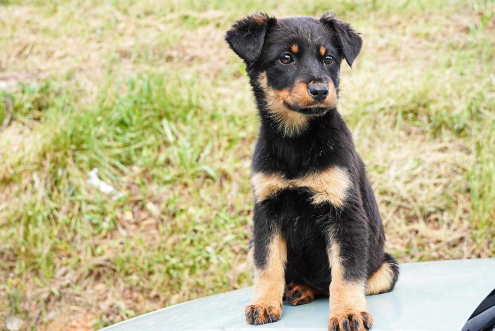 Ficha de Namaste - Engrescats de les Terres de l'Ebre